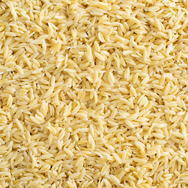 Orzo - CATELLI®